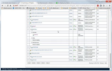 Application Deployment To Oracle Java Cloud Instance Using Xl Deploy On Aws Ec2 Conclusion
