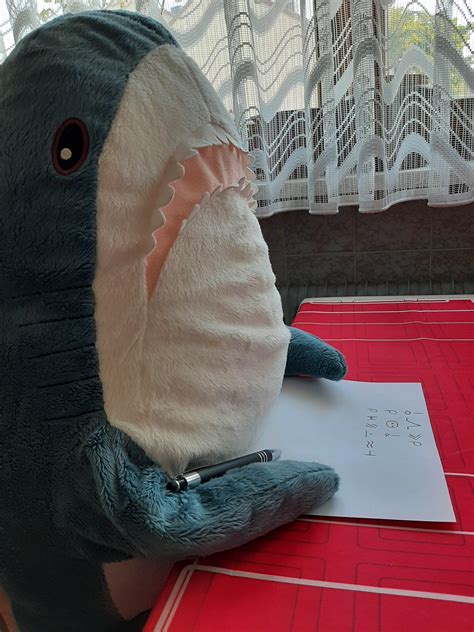 Custom Vector Fields R Desmos