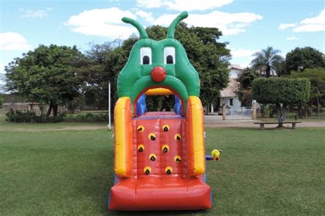 Centopéia Gigante