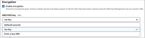 Advanced Security Options In Amazon RDS Amazon Relational Database