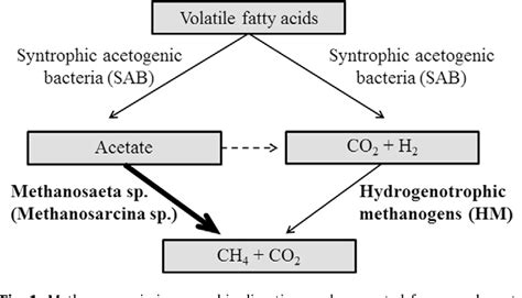 Methanobacteria Semantic Scholar