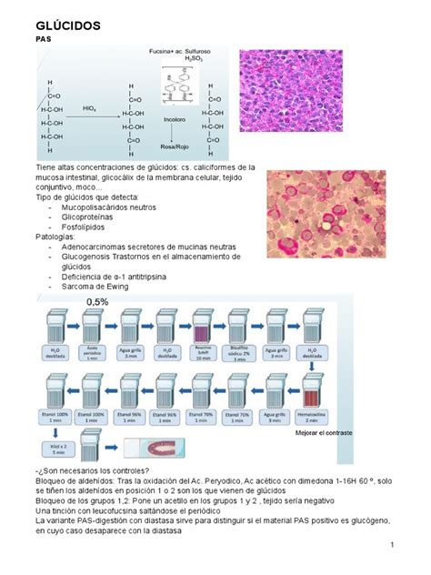 T 4 Y 5 Pcyt Imprimir 2 Pdf Tinción Lípido