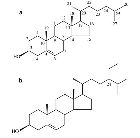 A Structure Of Cholesterol B Structure Of ß Sitosterol Download