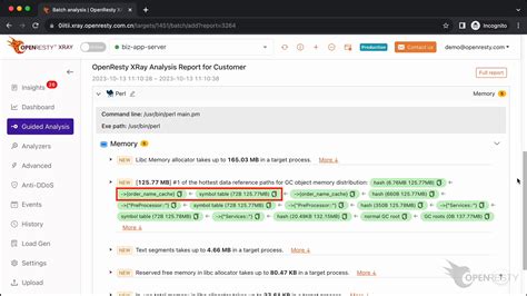 Locate Large Memory Objects Inside Perl Processes Using Openresty Xray