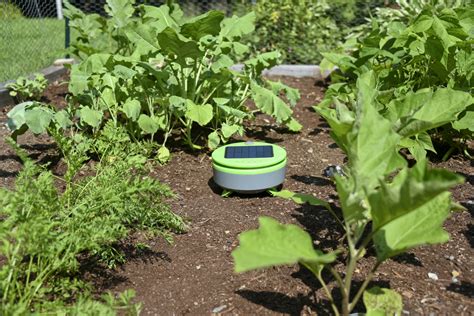 Tertill Weeding Robot Review 2021 Pcmag Australia
