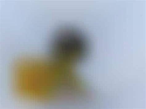 Crazy LEGO Constructs