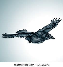 Vector Drawing Flying Raven Flying Raven Stock Vector Royalty Free