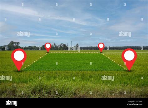 Land Plot Management Real Estate Concept With A Vacant Land On A