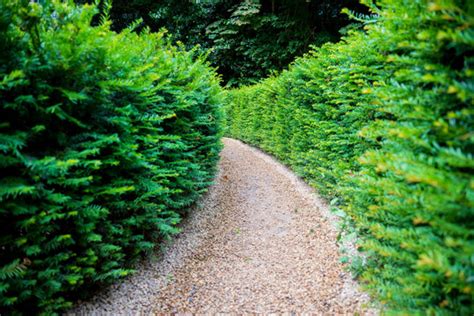 「labirinth」の写真素材 1 356件の無料イラスト画像 Adobe Stock