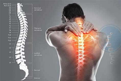 Маралгоо Уламжлалт Эмчилгээ Аарцаг Нурууны Бариа Заслын Төв Home
