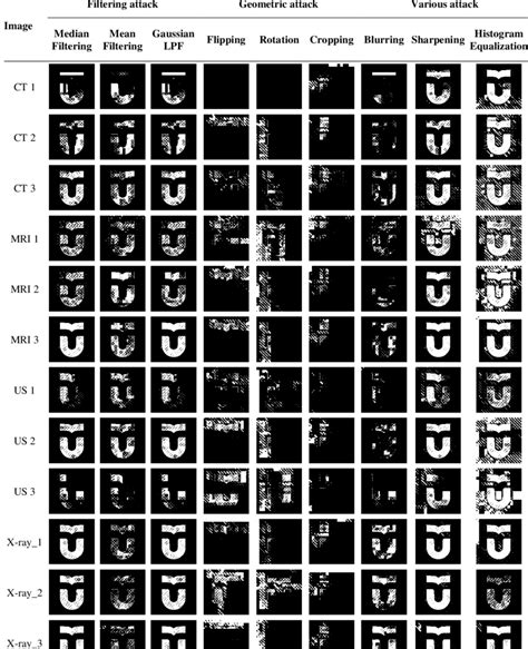 Extracted Watermark After Filtering Geometric Attack And Various