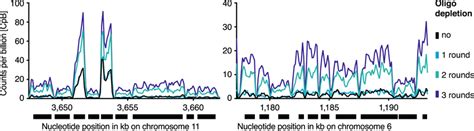 Rrna Depletion Affects Rna Seq Coverage Shown Is The Rna Seq Read Download Scientific Diagram