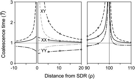 Signatures Of Sex Antagonistic Selection On Recombining Sex Chromosomes Abstract Europe PMC
