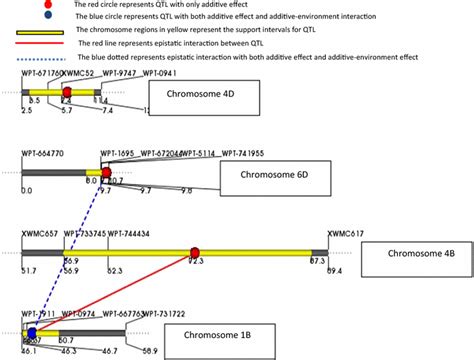 Main Effects Qtl With Additive Effects Were Detected On Chromosomes 4b