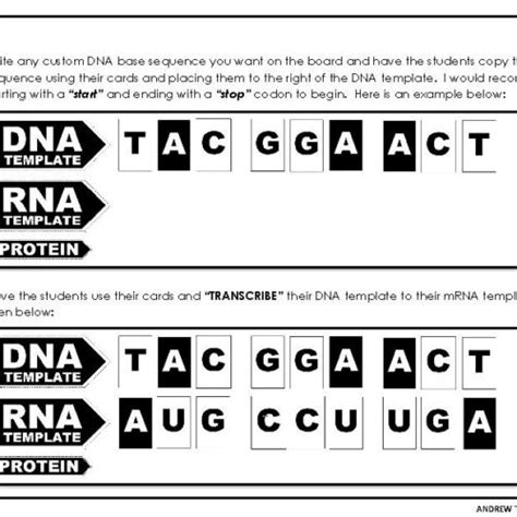 Dna Genetic Code And Mutations Mr Taylors Crazy Codon Cards Classful