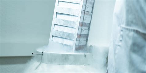 The Challenges Of Temperature Controlled Logistics And How To Overcome Them Nordic Life