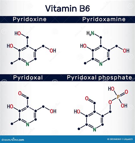 Forms Of Vitamin B6 Pyridoxal Pyridoxal Phosphate Pyridoxine Pyridoxamine Molecule