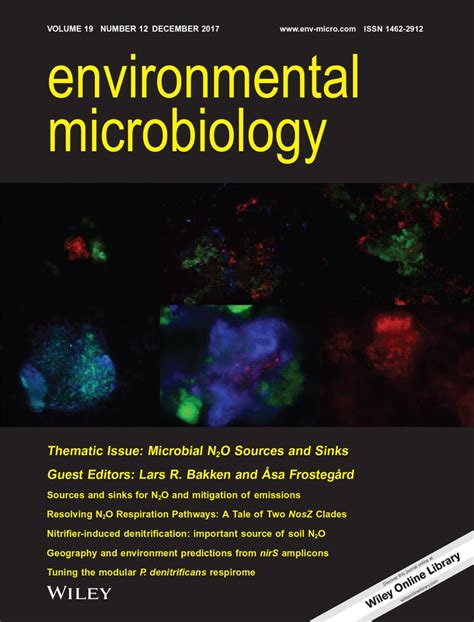 Mimicking Microbial Interactions Under Nitrate‐reducing Conditions In