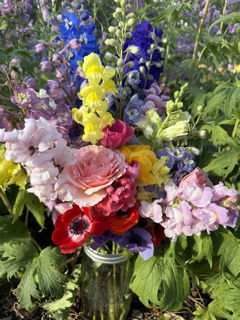 Dive Into Spring By Picking Flowers At This Moncks Corner Farm