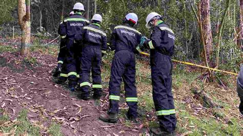 Importancia De Contar Con Una Brigada De Emergencia En Las Empresas