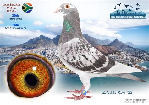 Lot 38 Cape Town Lofts Jaco Buckle Mctd Team 2 Za 22 Jjj 834 Chpd C