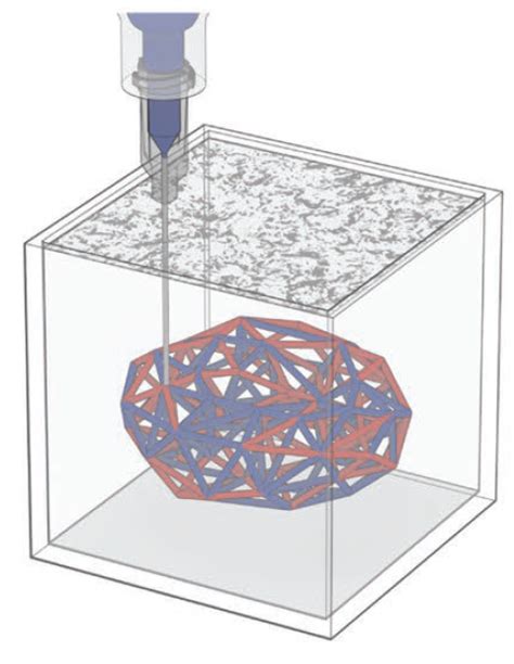 Embedded 3d Printing Of Multimaterial Polymer Lattices Via Graph Based Print Path Planning