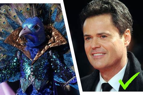 ‘the Masked Singer Spoilers Best Guesses For Celeb Cast