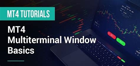 Xm Mt4 Multiterminal Window Basics Likerebateforex