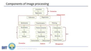 Biomedical Image Processing Analysis Ppt PPTX