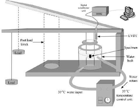 Diagram Of The Loading And Creep Strain Instrument Lvdt Linear