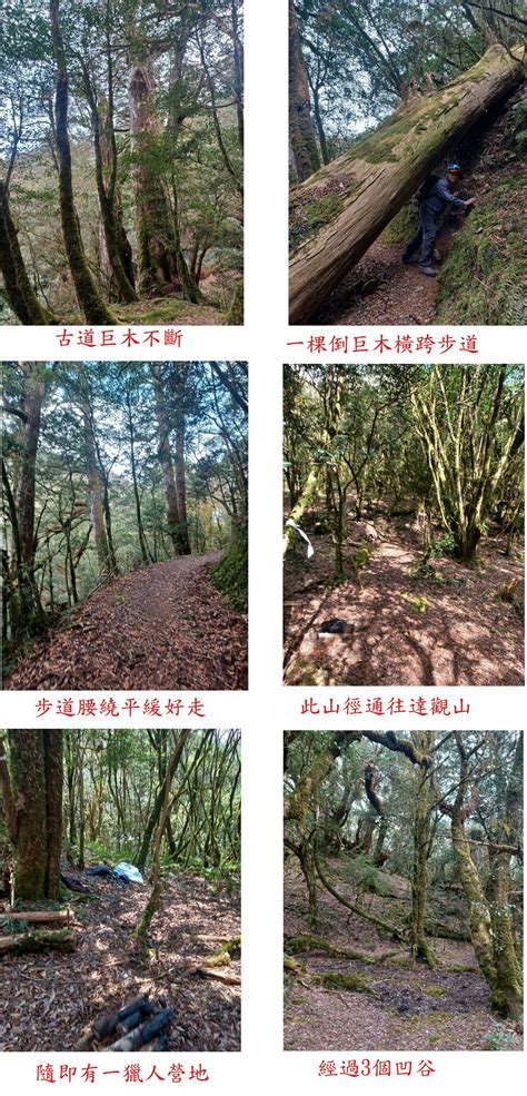 達觀山拉拉山補山A森林點巴陵山3 6267遺失與大興橋 桃園基石巡禮篇 登山補給站