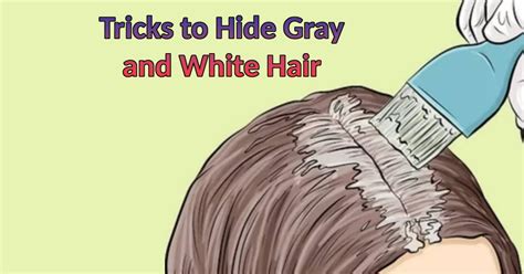 There Are Tricks To Hide Gray And White Hair That Are Perfect For Everyone