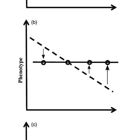 Evolutionary Scenarios To Explain Potential Differences Among