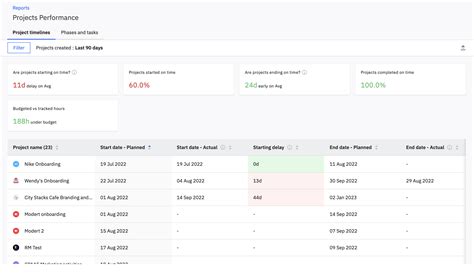 project performance insights on project timelines and task completion