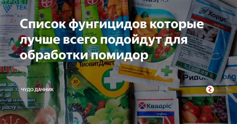 Список фунгицидов которые лучше всего подойдут для обработки помидор Чудо Дачник Дзен
