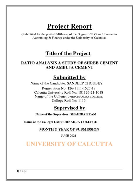 13 Ratio Analysis Of Shree Cement And Ambuja Cement Pdf Gross Margin Financial Ratio