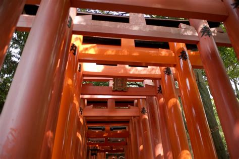 伏見稲荷大社 2 京都府京都市伏見区 空 sora そら