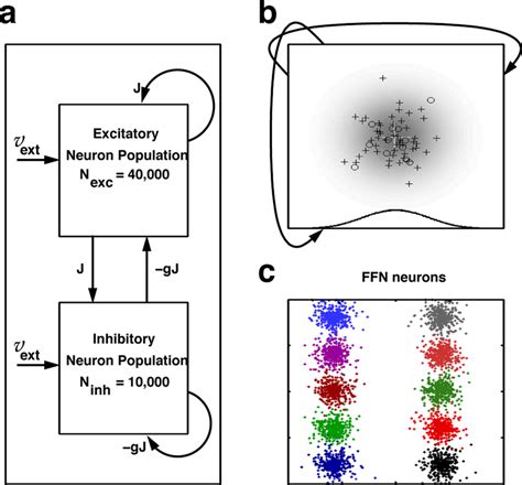 Lcrn Architecture And Embedded Ffn A Network Connectivity Excitatory