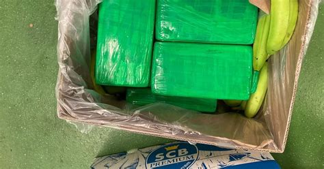 Incautan 1 Tonelada De Cocaína Oculta En Un Cargamento De Bananos Infobae