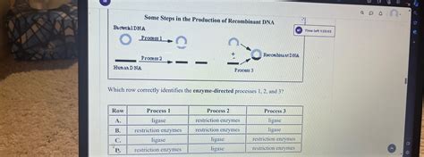 Solved Which Row Correctly Identifies The Enzyme Directed