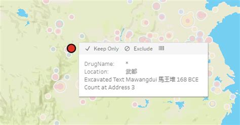 Embedded Maps Are Producing Error Message And Ask Me To Contact Server
