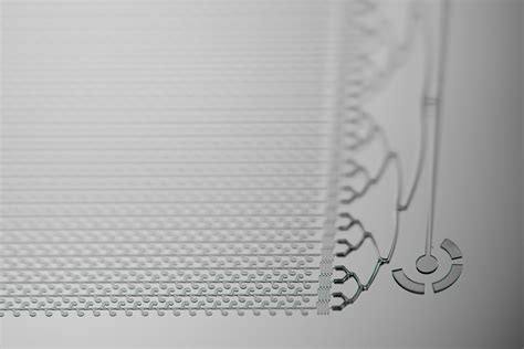 New Test For Cervical Cancer Tackles Healthcare Inequalities Stony