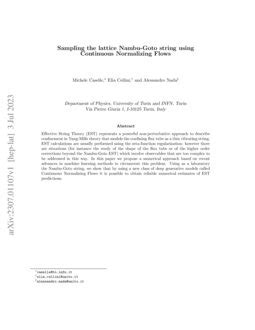 Sampling The Lattice Nambu Goto String Using Continuous Normalizing Flows DeepAI