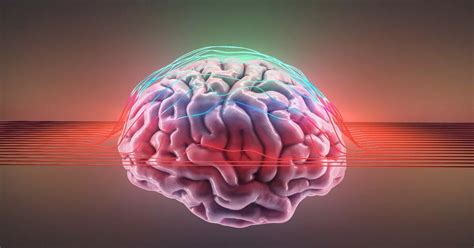 Lab Grown Mini Human Brains Sent Into Space Aged Faster Than On Earth