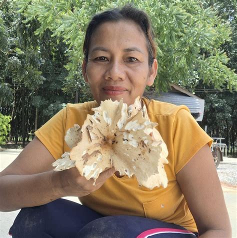 แม่สาว แฟนเพจ