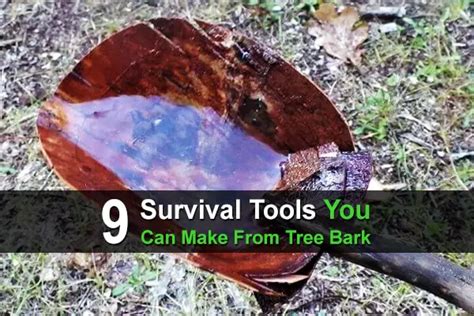 Survival Tools You Can Make From Tree Bark Survival Tools You Can Make From Tree Bark