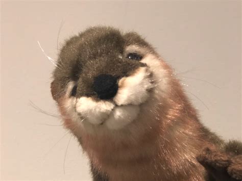 callum akehurst ryan s testing blog talking about agile exploratory testing diversity and more