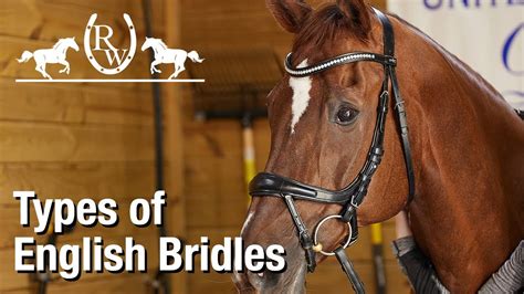 What Types Of Bridles Are There At John Jessep Blog