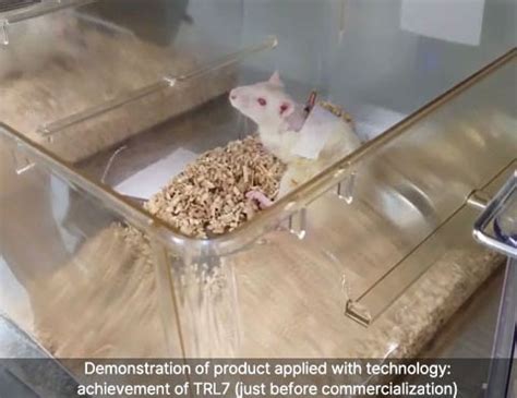 Health Care EN WARP Solution