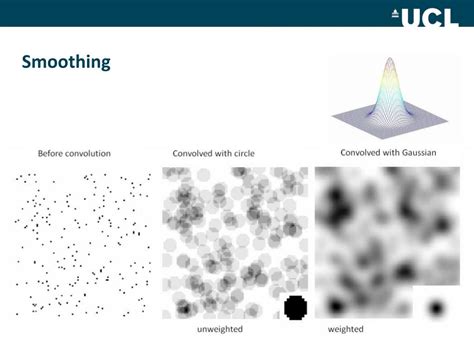 PPT Voxel Based Morphometry PowerPoint Presentation Free Download ID 4364898